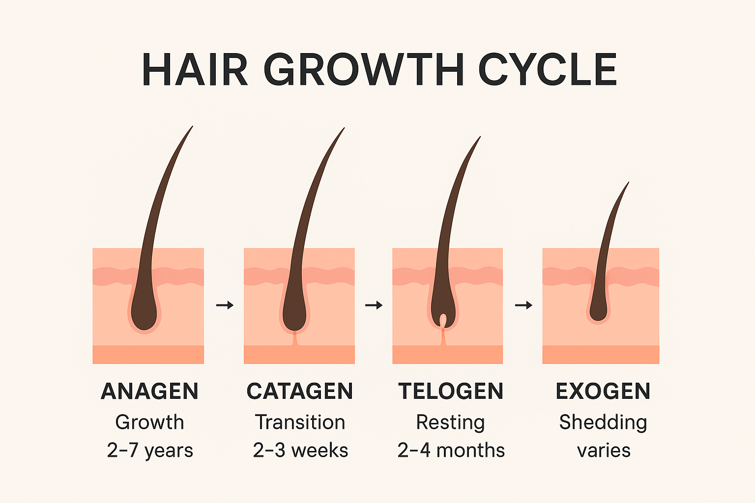 Length Retention Tips: 10 Daily Habits to Prevent Breakage